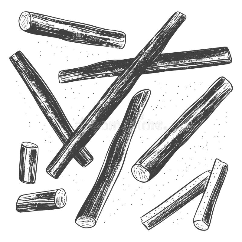 Scattered Licorice Sticks, Sweet Candy Treat, Vintage Illustration ...