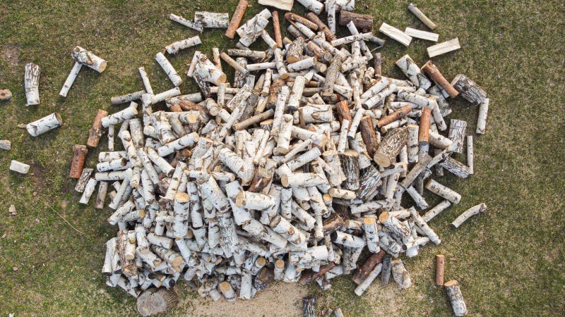 A Scattered Pile of Birch Logs Top View Stock Photo - Image of ...