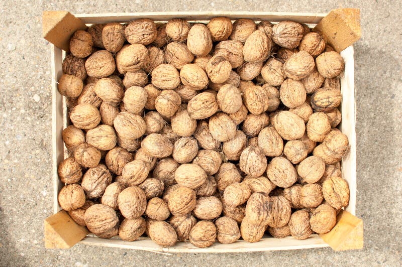 Scattered Pile of Walnuts, Bunch Stock Image - Image of crate, nutshell ...