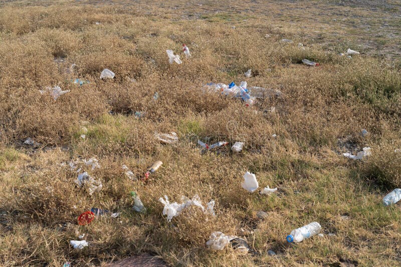 Scattered Plastic Bottles and Bags Lie on Grass in Rural Area Causing ...