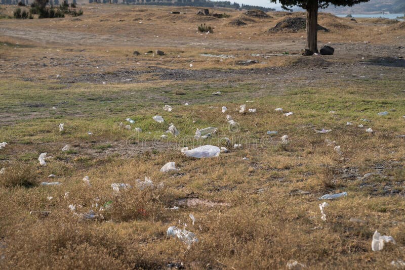 Scattered Plastic Bottles and Bags Lie on Grass in Rural Area Causing ...