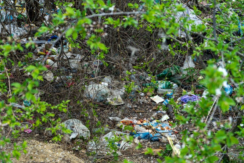 Scattered Plastic Trash in a Green Forest among the Spring Shrubs ...