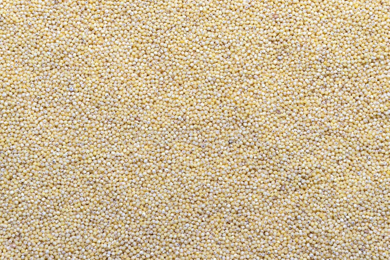 Scattered and Polished Groats of Millet Texture. Grains Pattern, Food ...