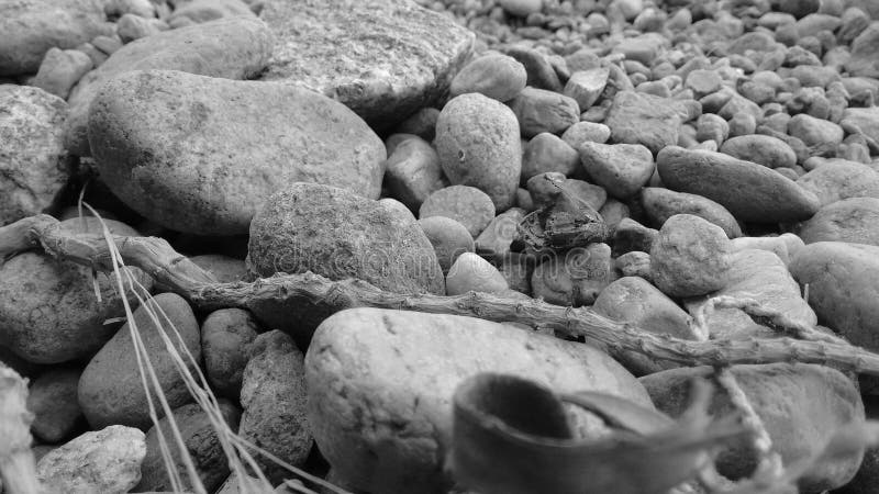 The scattered rocks stock image. Image of story, rocks - 50274119