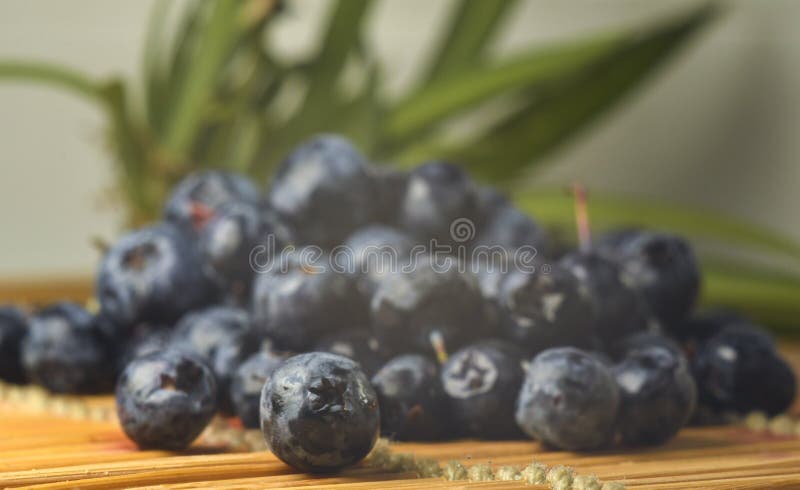 A Scattering of Blueberries Close-up. Black and Blue Berries on a ...
