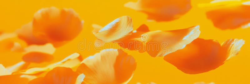 Scattering Sunflower Petals Create Vibrant Patterns on Bright Yellow ...