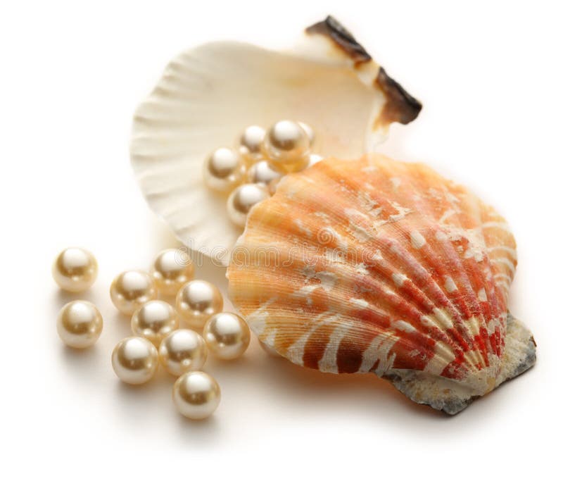 White pearls in seashell stock photo. Image of circular - 30019048