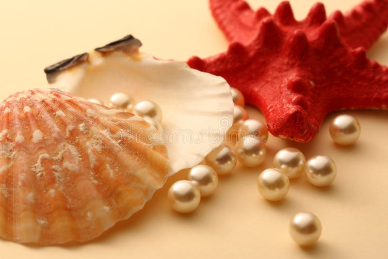 White pearls in seashell stock image. Image of glitter - 30019061