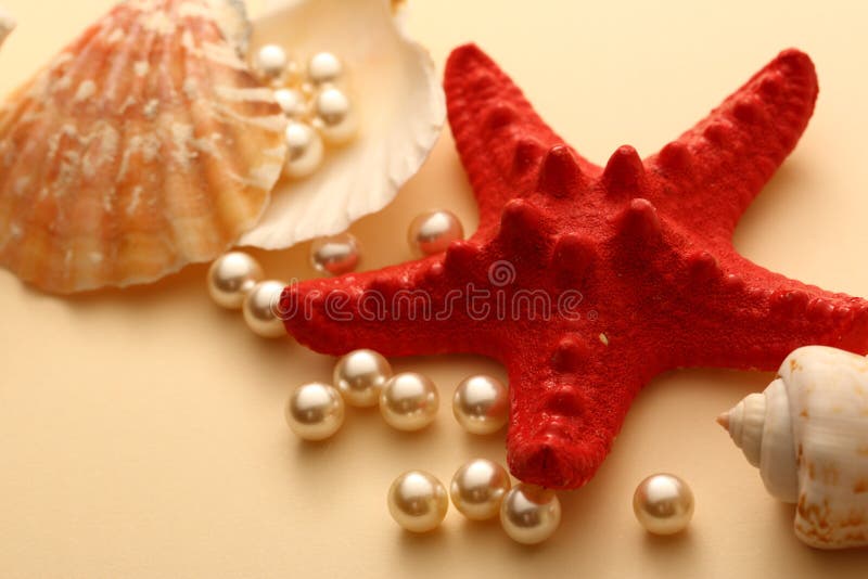 Scattering white pearls stock image. Image of cockleshell - 30149103