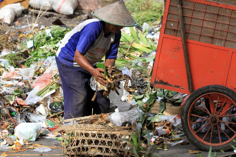 Scavengers editorial stock image. Image of java, people - 49255784