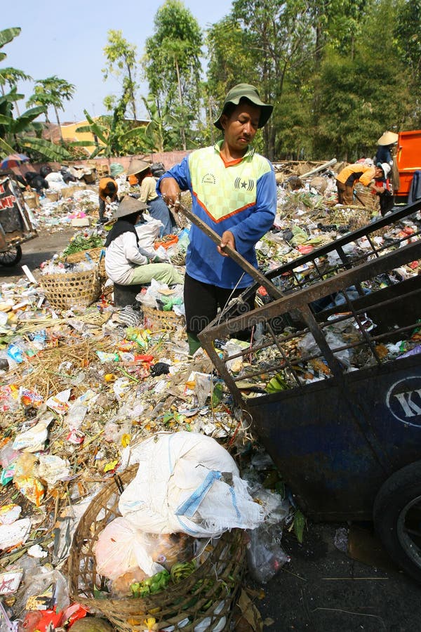Garbage Scavengers editorial stock image. Image of yard - 16160109