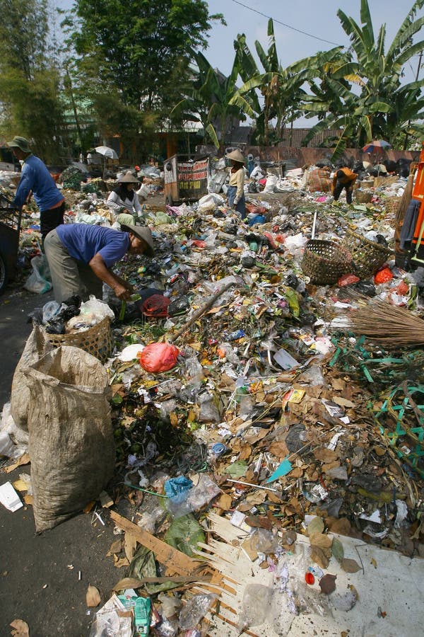 Garbage Scavengers editorial stock image. Image of rubbish - 23551729