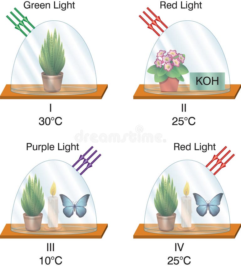 Glass Rod Chemistry Stock Illustrations – 452 Glass Rod Chemistry Stock ...