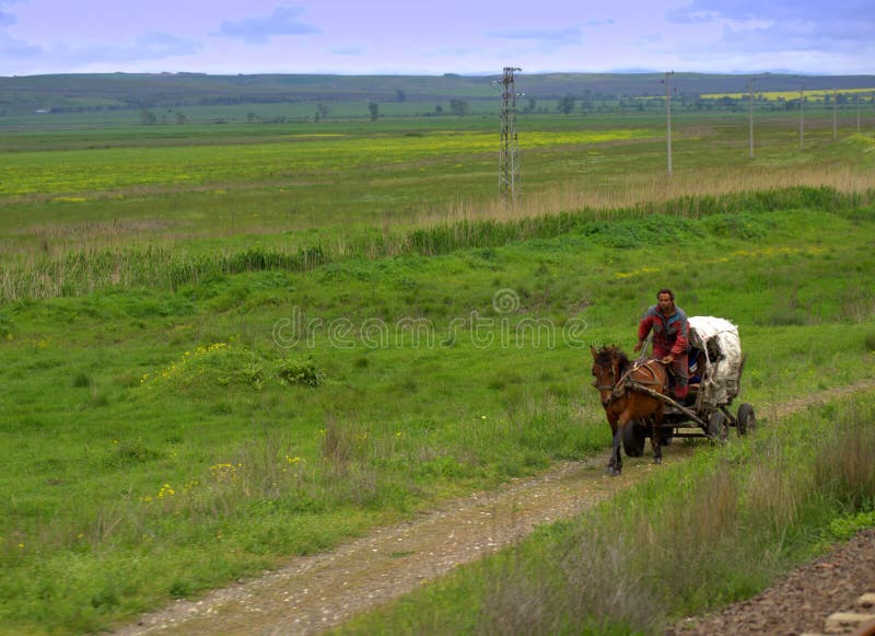 Scena Agricola Difficile Della Campagna Del Carretto Immagine Stock ...