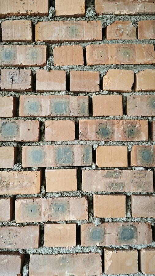 The Initial Foundation Concrete Frame and Wall of the Residential ...