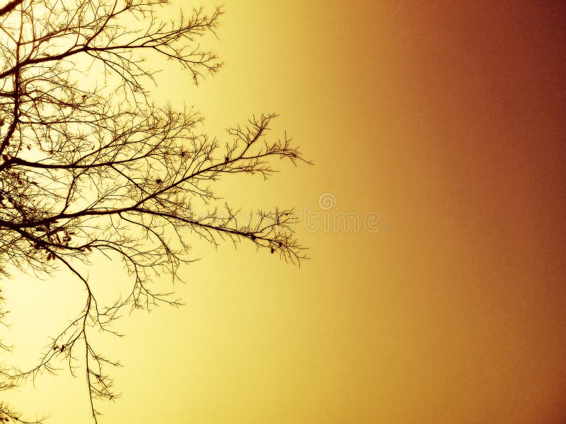 Scene stock photo. Image of beautiful, time, capture - 127313582