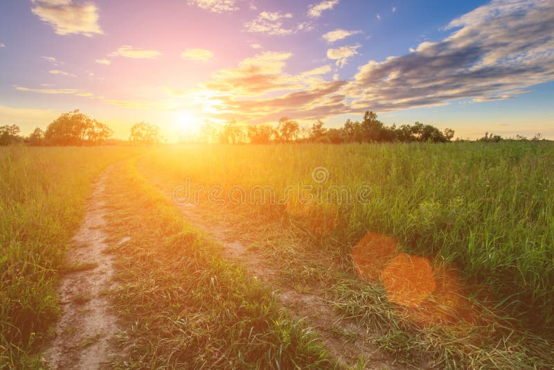 Scene of Beautiful Sunset at Summer Field Stock Image - Image of tree ...