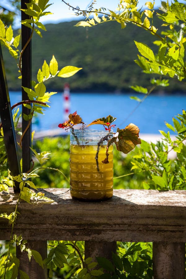 Bigova Village Stock Photos - Free & Royalty-Free Stock Photos from ...