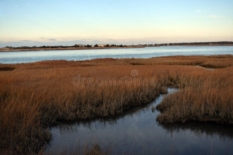 Cape Cod in Winter stock photo. Image of ripples, coast - 351121026