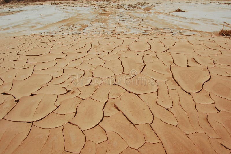 Scene of a Desolate Desert Landscape with a Cracked Earth Surface Stock ...