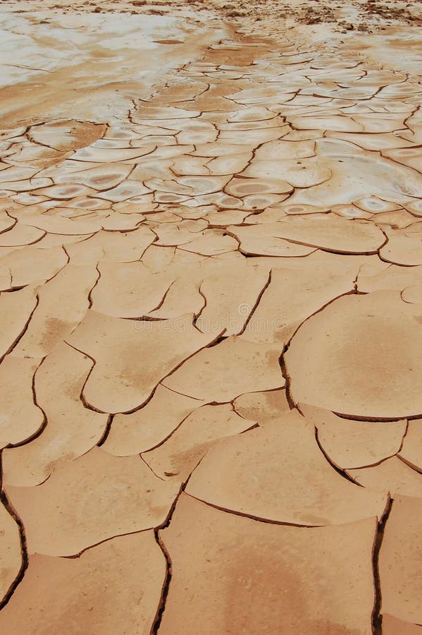Scene of a Desolate Desert Landscape with a Cracked Earth Surface Stock ...