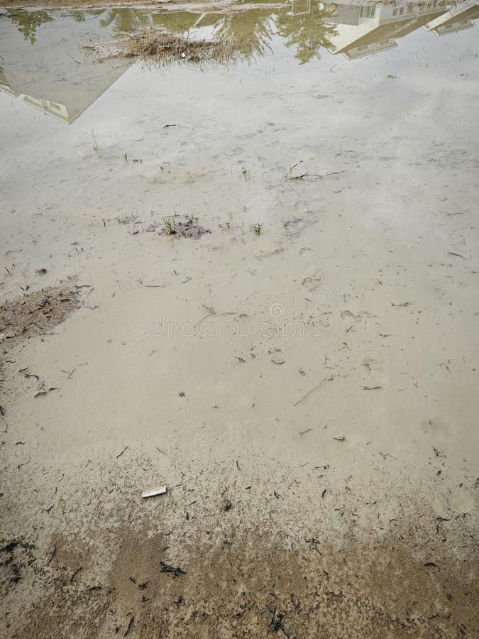 Scene at the Drywall Mud from the Stagnant Pool of Rainwater. Stock ...