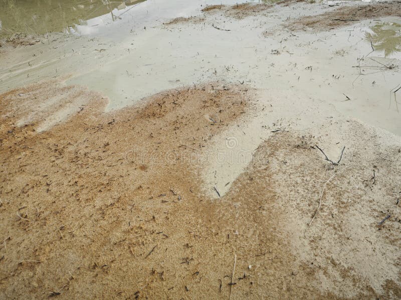Scene at the Drywall Mud from the Stagnant Pool of Rainwater. Stock ...