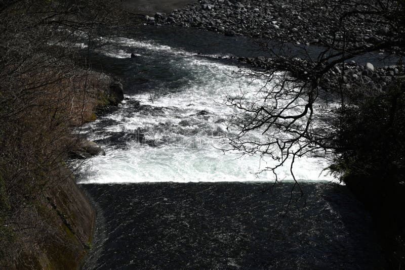 Scene of Flowing Water in a Spring Stream in Japan. Stock Image - Image ...