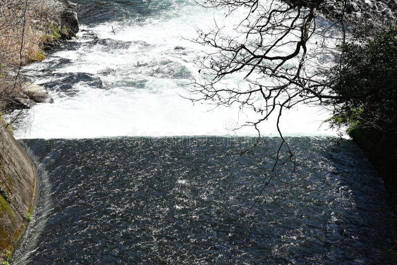Scene of Flowing Water in a Spring Stream in Japan. Stock Photo - Image ...