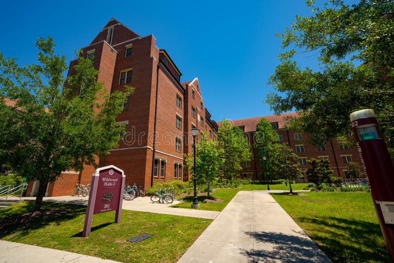 Scene at FSU Campus Tallahassee FL Stock Photo - Image of wildwood ...