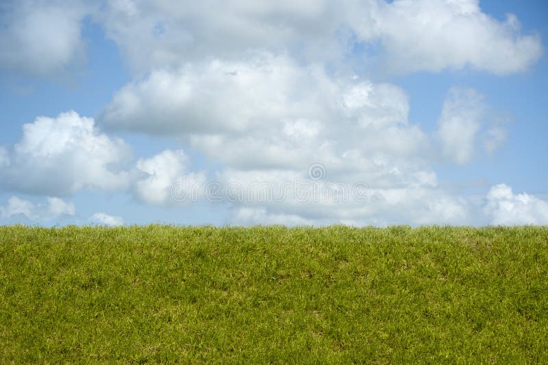 Scene of Green Grass, a Blue Sky and White Clouds Stock Image - Image ...