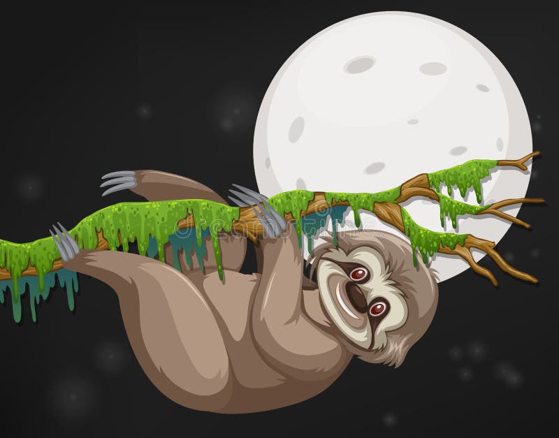Scene with Happy Sloth Hanging on the Branch at Night Stock Vector ...