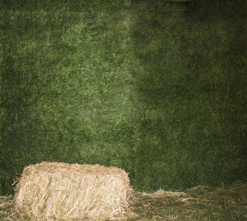 Scene with Hay in the Meadow. Beautiful Scenery. a Stack of Hay. Sheaf ...