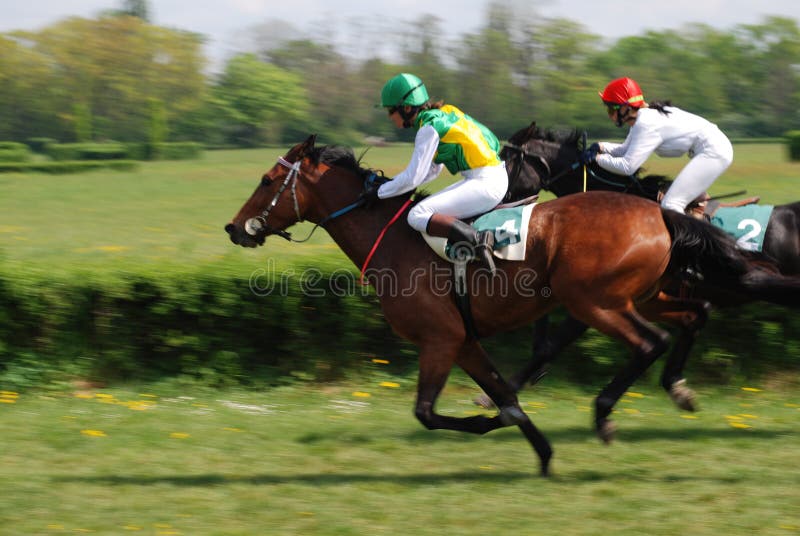 Two horses racing stock photo. Image of competition, leading - 14477590