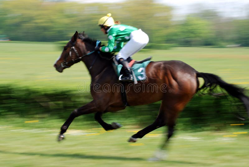 A scene of a horse race stock image. Image of grass, hippodrome - 2429785