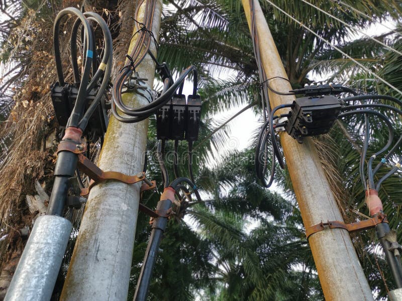 Scene of the Electric Utility Pole by the Street. Stock Image - Image ...