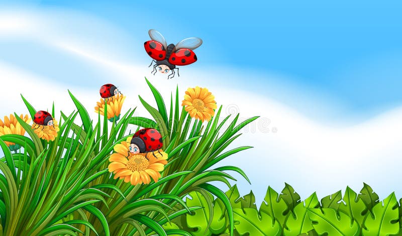 Scene with Ladybugs Flying in the Garden Stock Vector - Illustration of ...