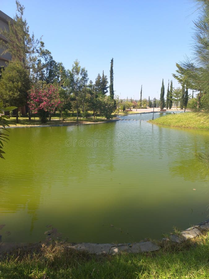 Beautiful Landscape with a Lake in Hawassa Ethiopia Stock Photo - Image ...