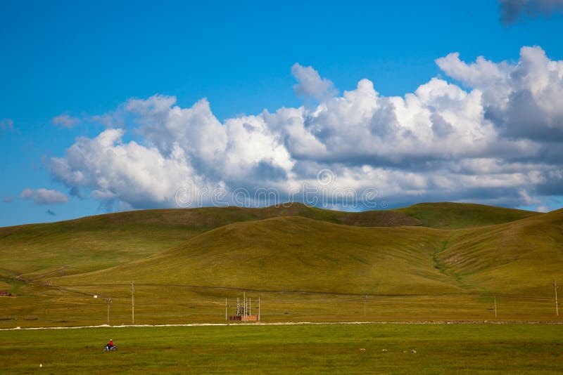 Scene of the meadow stock photo. Image of idyll, farm - 10737808