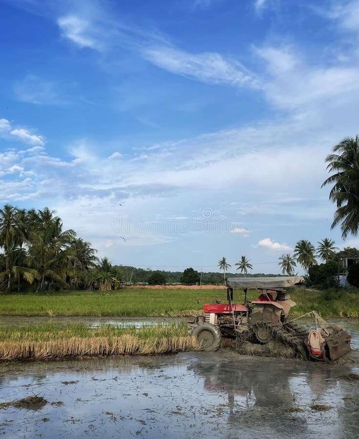 371 Tractor Plowing Paddy Field Photos - Free & Royalty-Free Stock ...