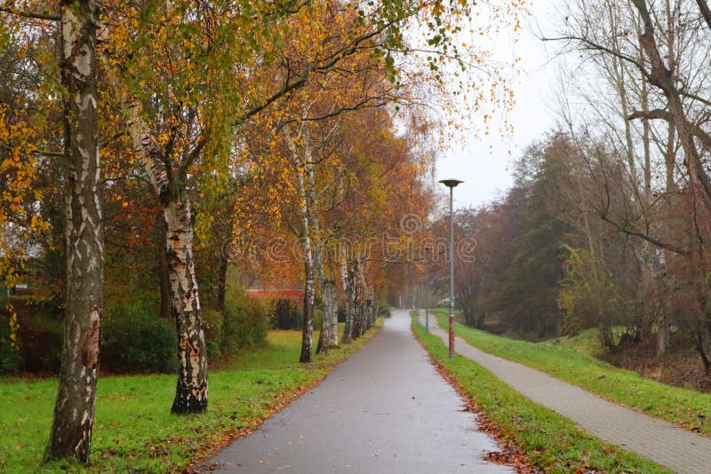 A short walk in the park stock image. Image of cosy - 265689725