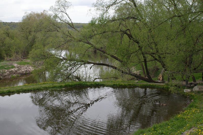 Scene in the Park in Spring Editorial Stock Photo - Image of woodland ...