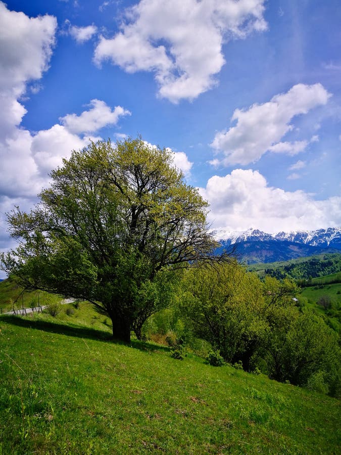 Scene from Pestera, Magura. Romania Stock Image - Image of cloud, green ...