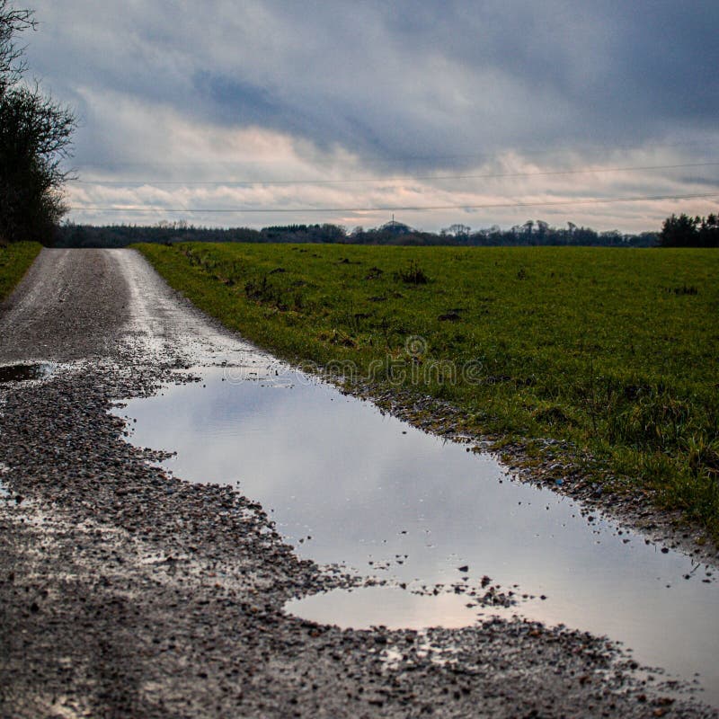 Scene of the Puddle on the Asphalt by the Green Field Surrounded by ...