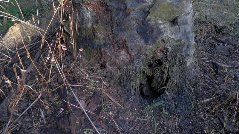 Pan Scene the Hole Making Process on CNC Milling Machine by Deep Hole ...