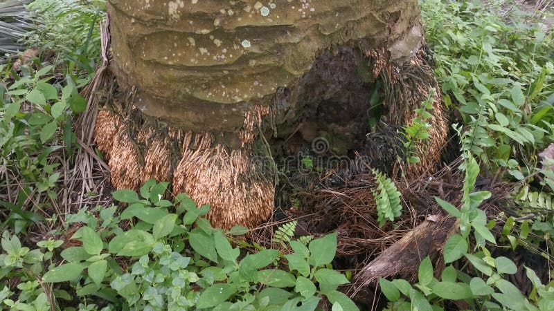 Pan Scene the Hole Making Process on CNC Milling Machine by Deep Hole ...