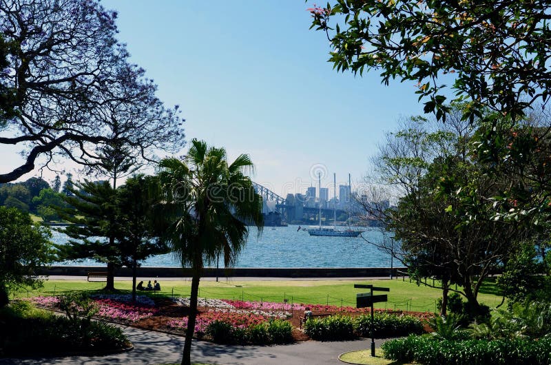 A Garden in Sydney on a Spring Day Editorial Stock Image - Image of ...