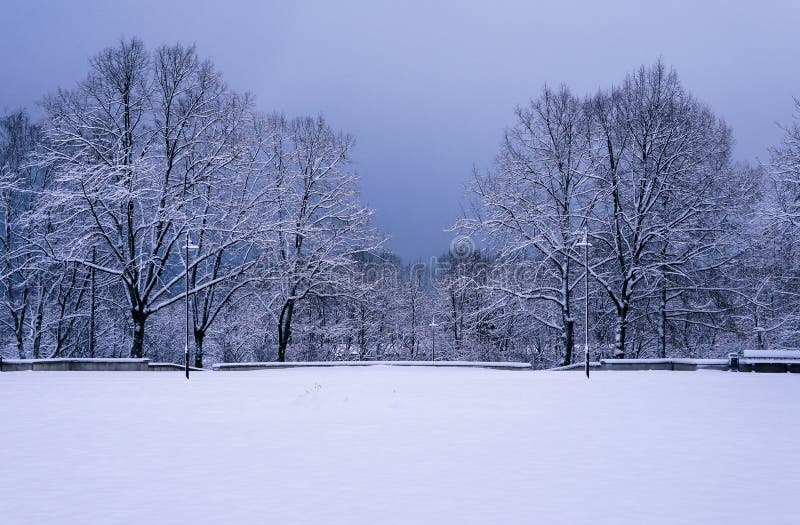 Scene in snowy city park stock photo. Image of forest - 83520264