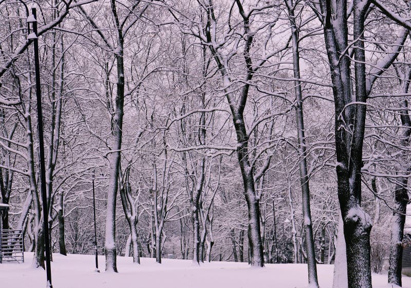 Scene in snowy city park stock image. Image of covered - 83520417