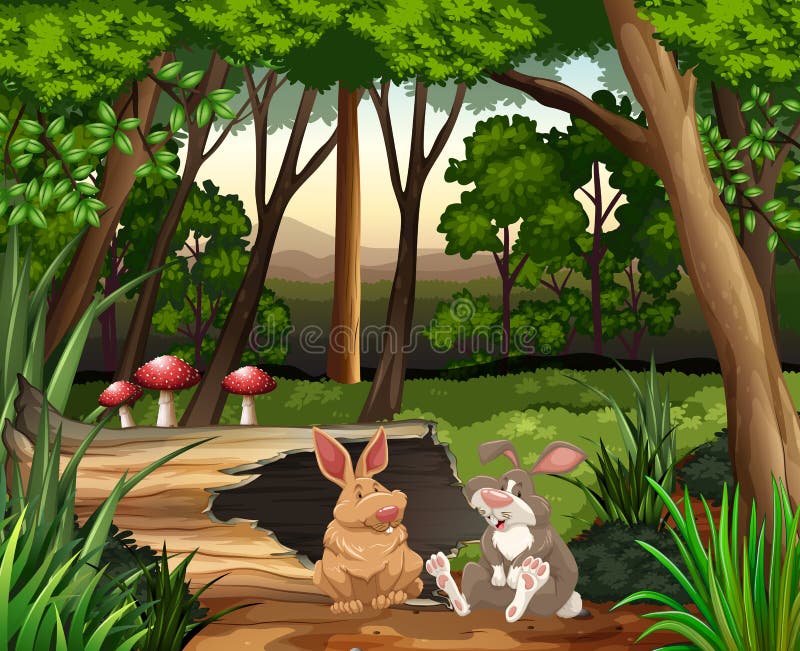 Forest Rabbits Stock Illustrations – 1,129 Forest Rabbits Stock ...